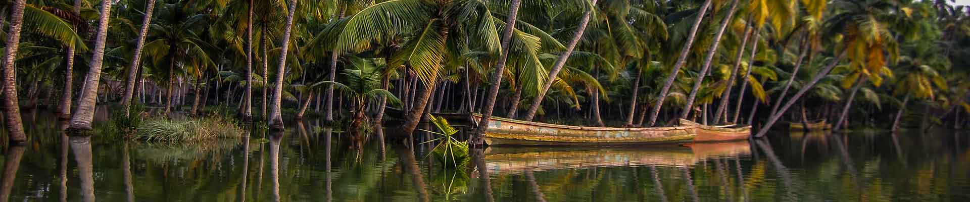 Komilla | Vedic Astrology